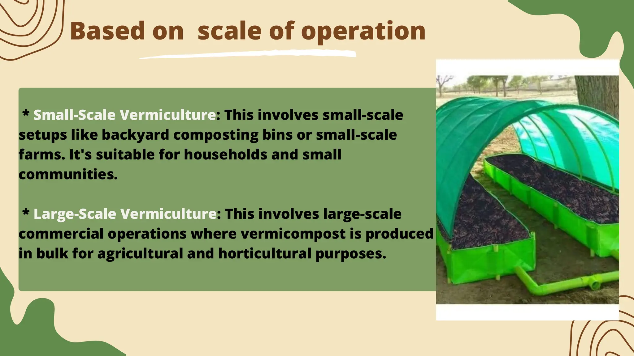 VERMICULTURE - Definition,History,Classification,Economic importance | PDF
