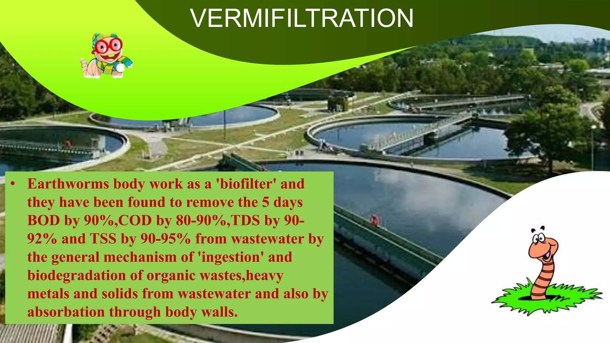 Vermifiltration | PPTX