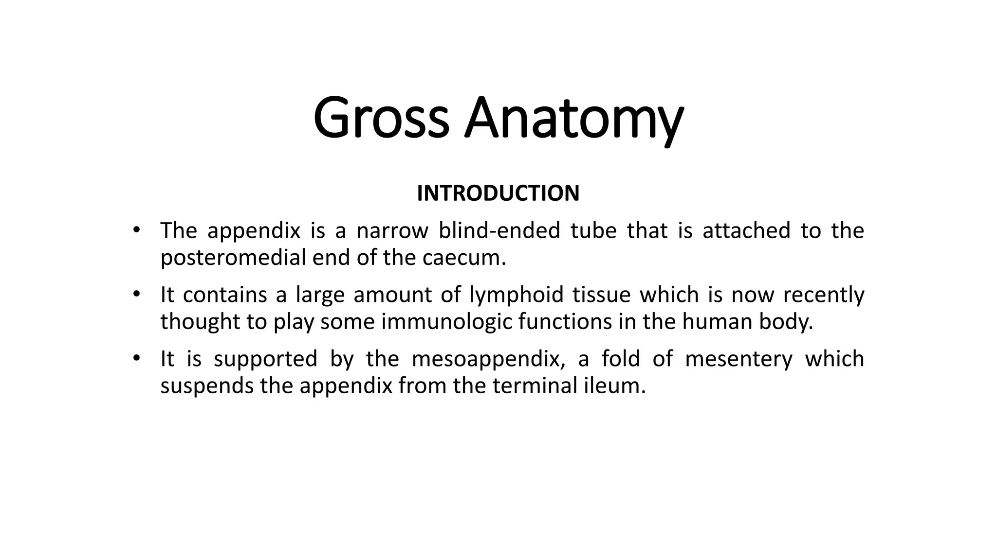 VERMIFORM APPENDIX.pptx