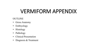 VERMIFORM APPENDIX.pptx | Digestive Disorders | Diseases and Conditions