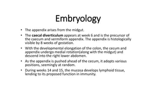 VERMIFORM APPENDIX.pptx | Digestive Disorders | Diseases and Conditions