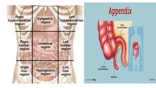 VERMIFORM APPENDIX in detai with surgical amangemntl.pptx
