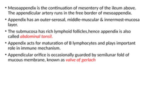 VERMIFORM APPENDIX in detai with surgical amangemntl.pptx