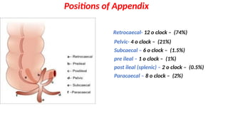 VERMIFORM APPENDIX in detai with surgical amangemntl.pptx