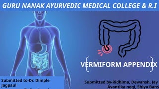 VERMIFORM APPENDIX (GP 10).pptx with detailed diagrams | PPTX