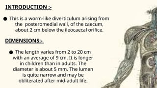 VERMIFORM APPENDIX (GP 10).pptx with detailed diagrams | PPTX