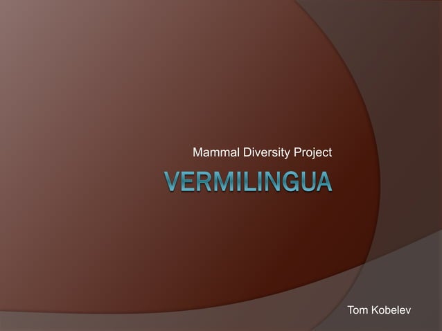Vermilingua science 10h project | PPTX