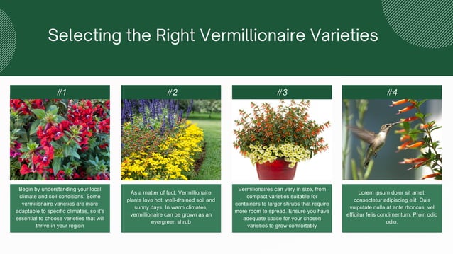 Vermillionaire plant The Ultimate Guide to Growing.pdf