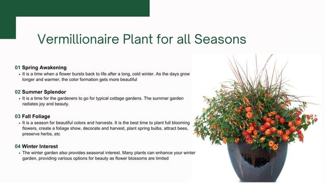 Vermillionaire plant The Ultimate Guide to Growing.pdf