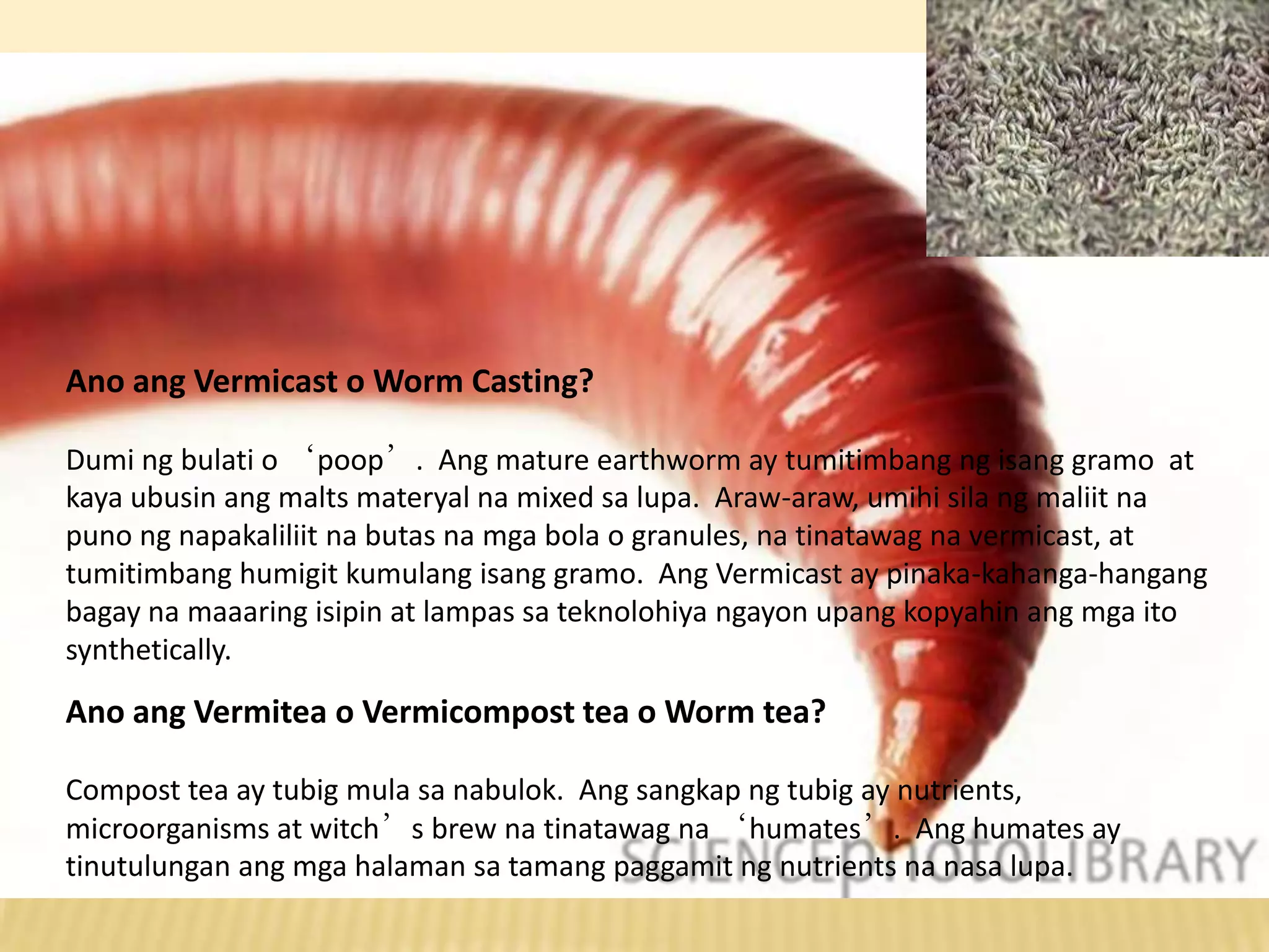 Vermi Presentation | PPTX