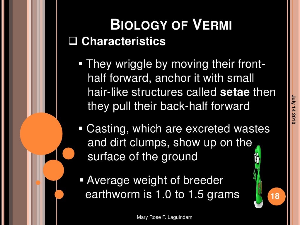 Vermi presentation edited 062411
