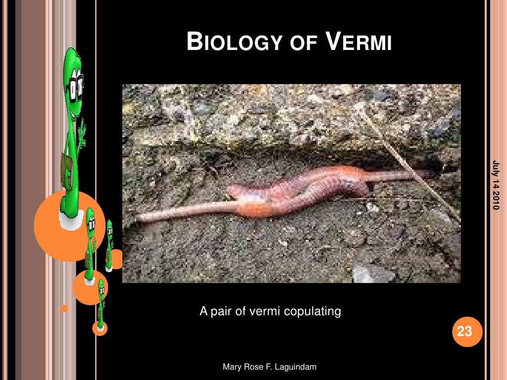 Vermi presentation edited 062411