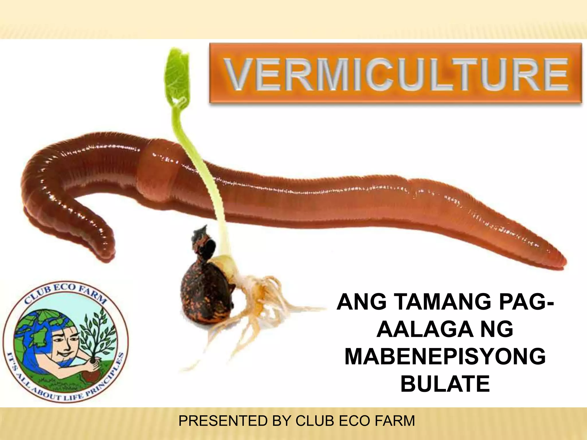 Vermiculture and Vermicomposting in the Philippines | PPTX