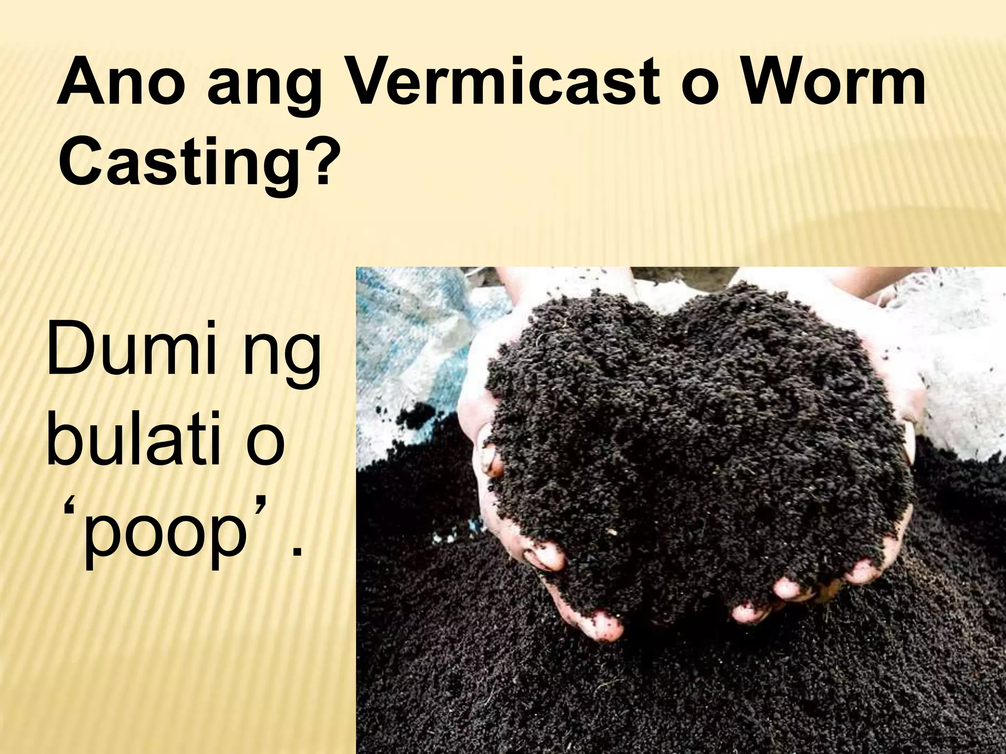 Vermiculture and Vermicomposting in the Philippines | PPTX