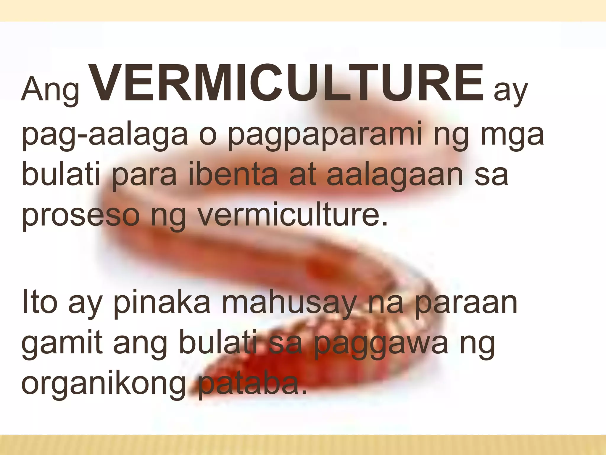 Vermiculture and Vermicomposting in the Philippines | PPTX