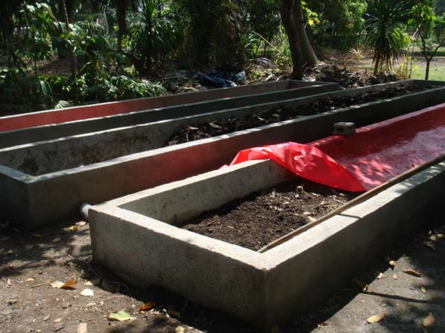 Vermiculture and Vermicomposting in the Philippines | PPTX