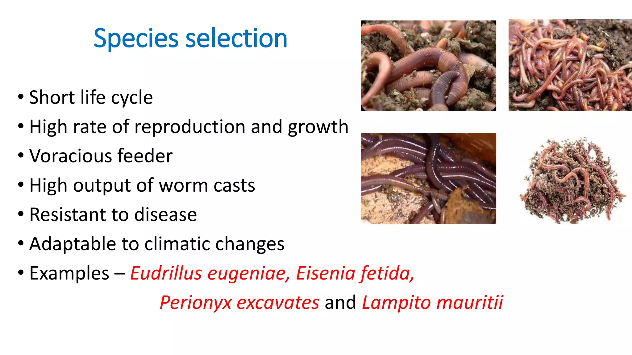 Vermitechnology | PPT