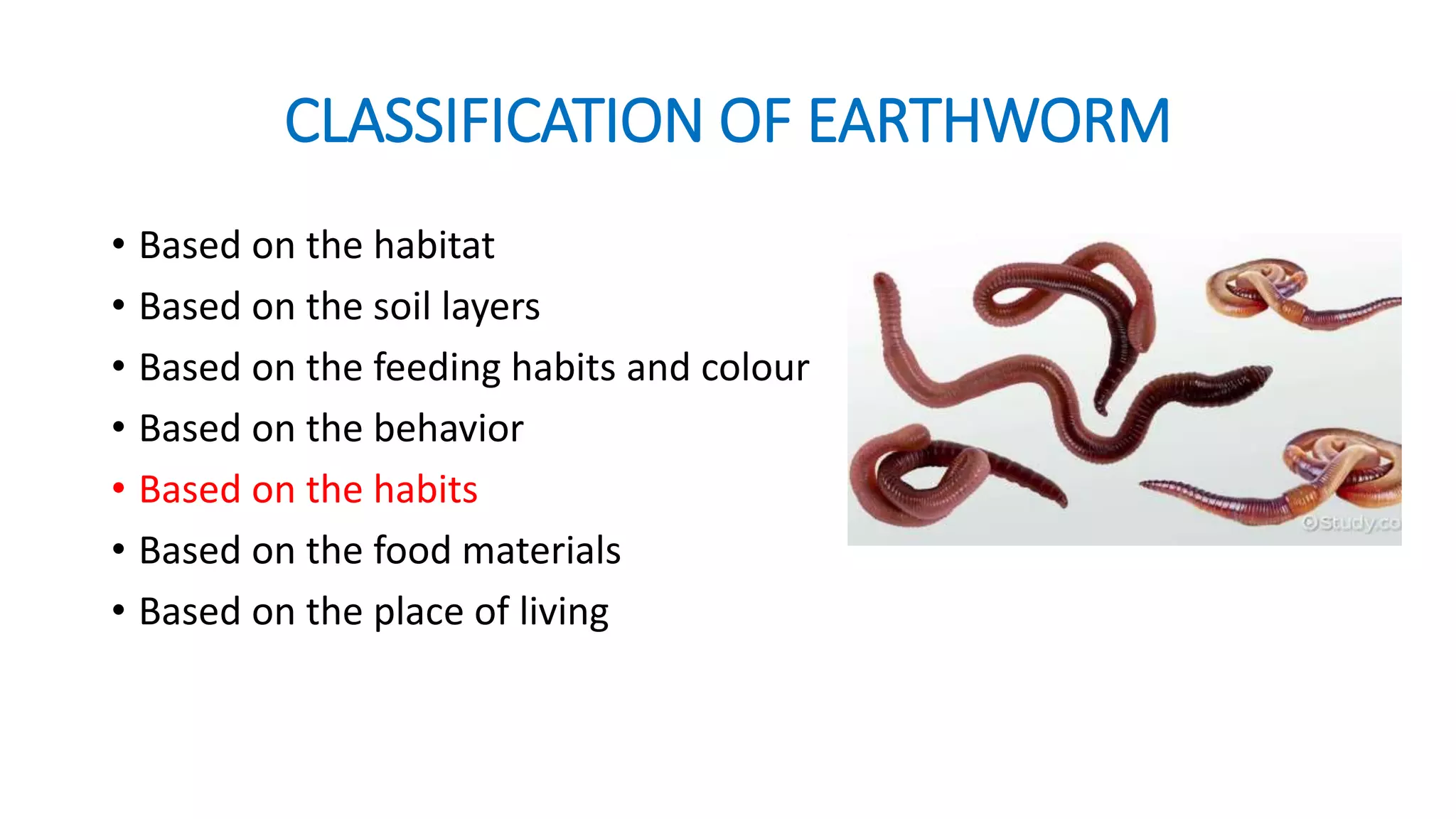 Vermitechnology | PPT