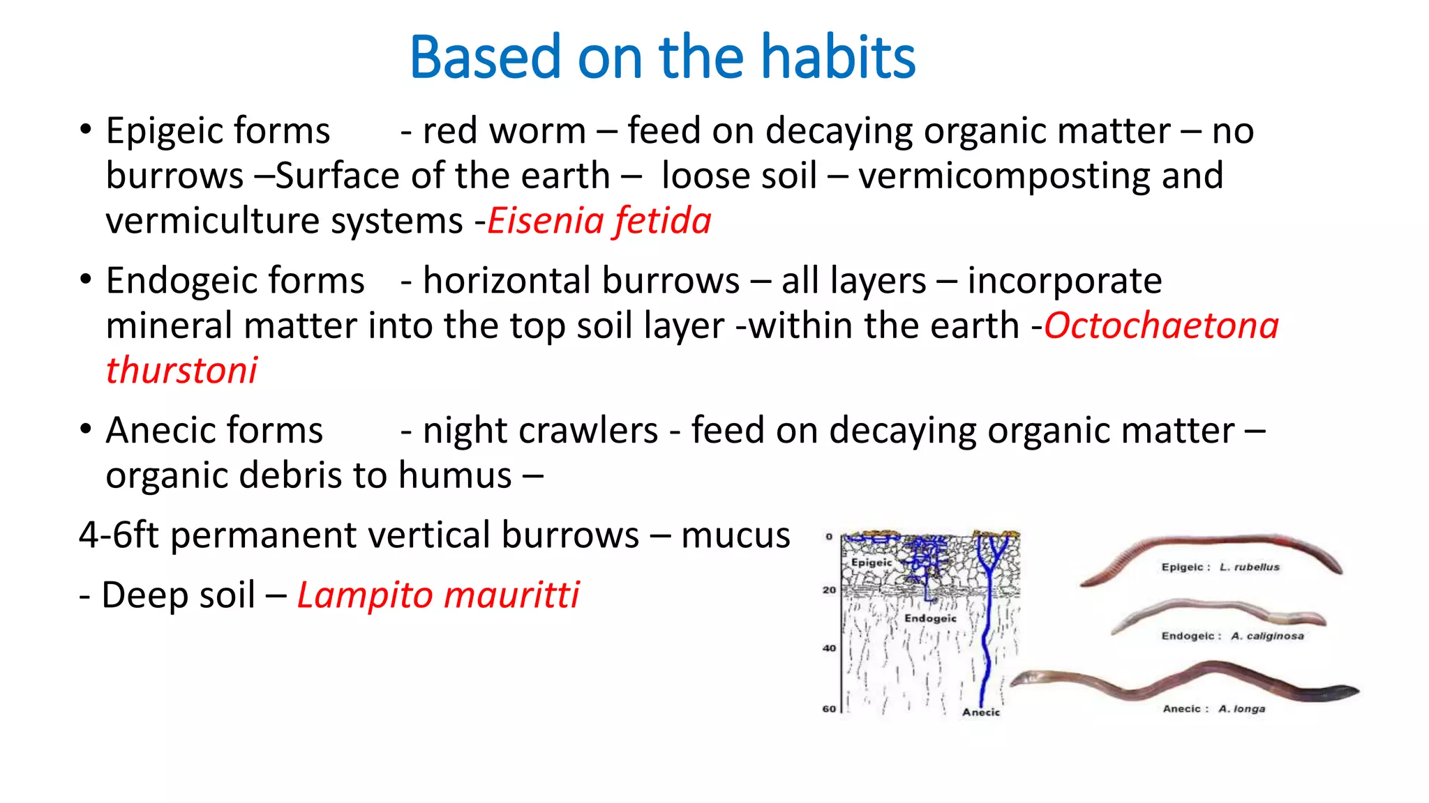 Vermitechnology | PPT