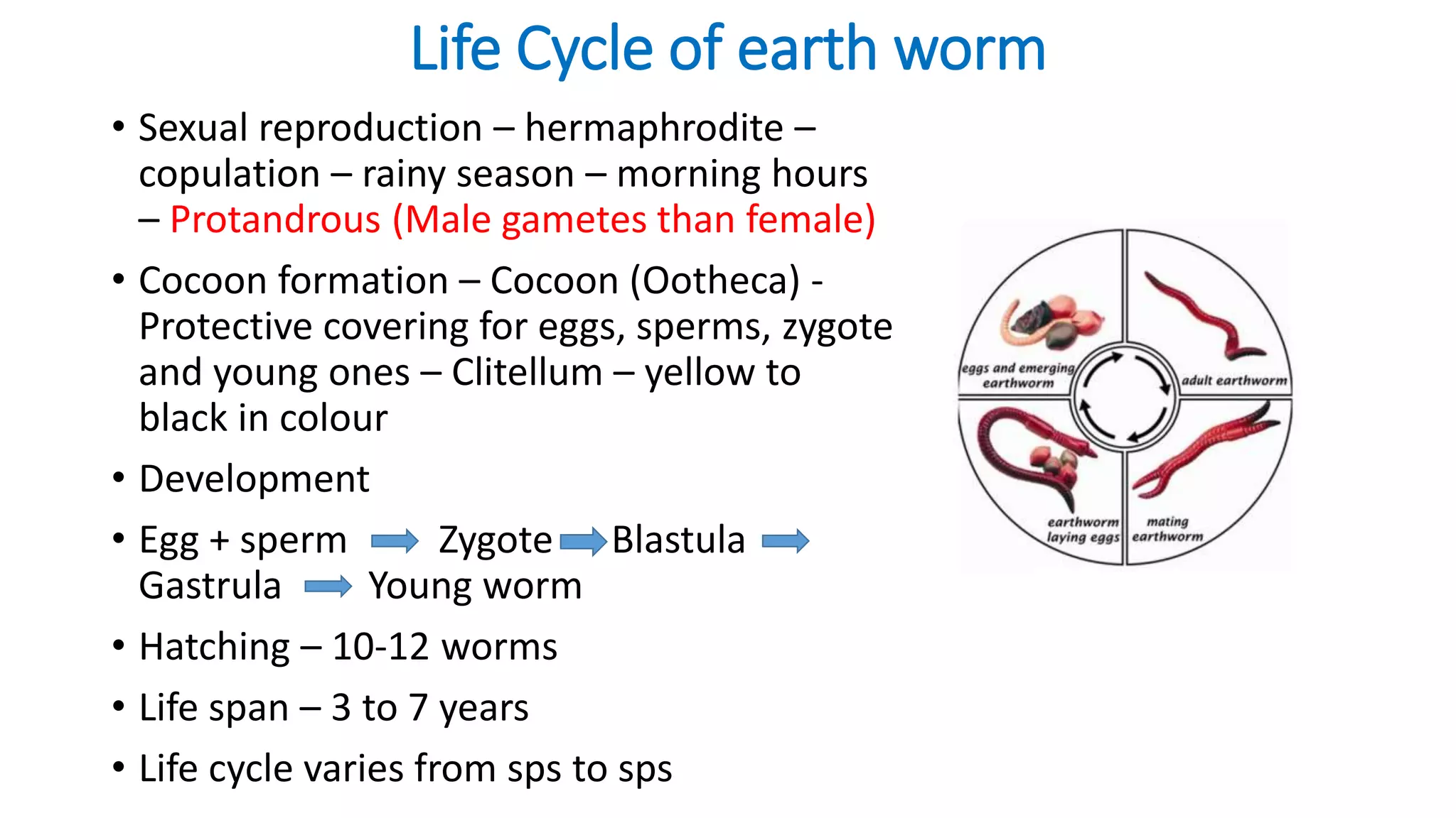 Vermitechnology | PPT