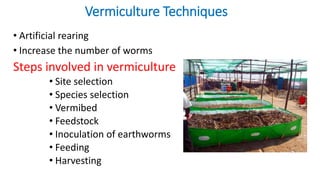 Vermitechnology | PPT