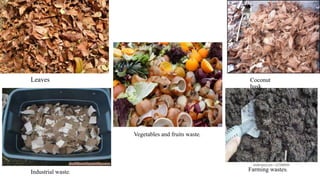 Vermitechnology | PPT