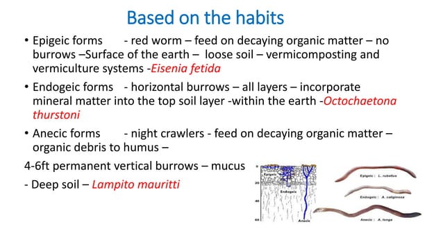 Vermitechnology | PPT | Agriculture | Industries