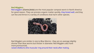 Vermitechnology _ Earthworm- Classification, Choosing the right ...