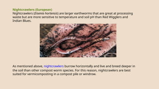 Vermitechnology _ Earthworm- Classification, Choosing the right ...