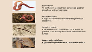 Vermitechnology _ Earthworm- Classification, Choosing the right ...