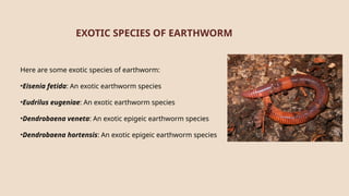 Vermitechnology _ Earthworm- Classification, Choosing the right ...