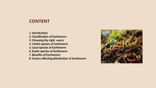 Vermitechnology _ Earthworm- Classification, Choosing the right ...