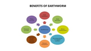 Vermitechnology _ Earthworm- Classification, Choosing the right ...