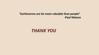 Vermitechnology _ Earthworm- Classification, Choosing the right ...