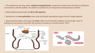 Vermitechnology _ Earthworm- Classification, Choosing the right ...