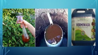 VERMI WASH - Composition, Micro Nutrients, Microbial composition ...