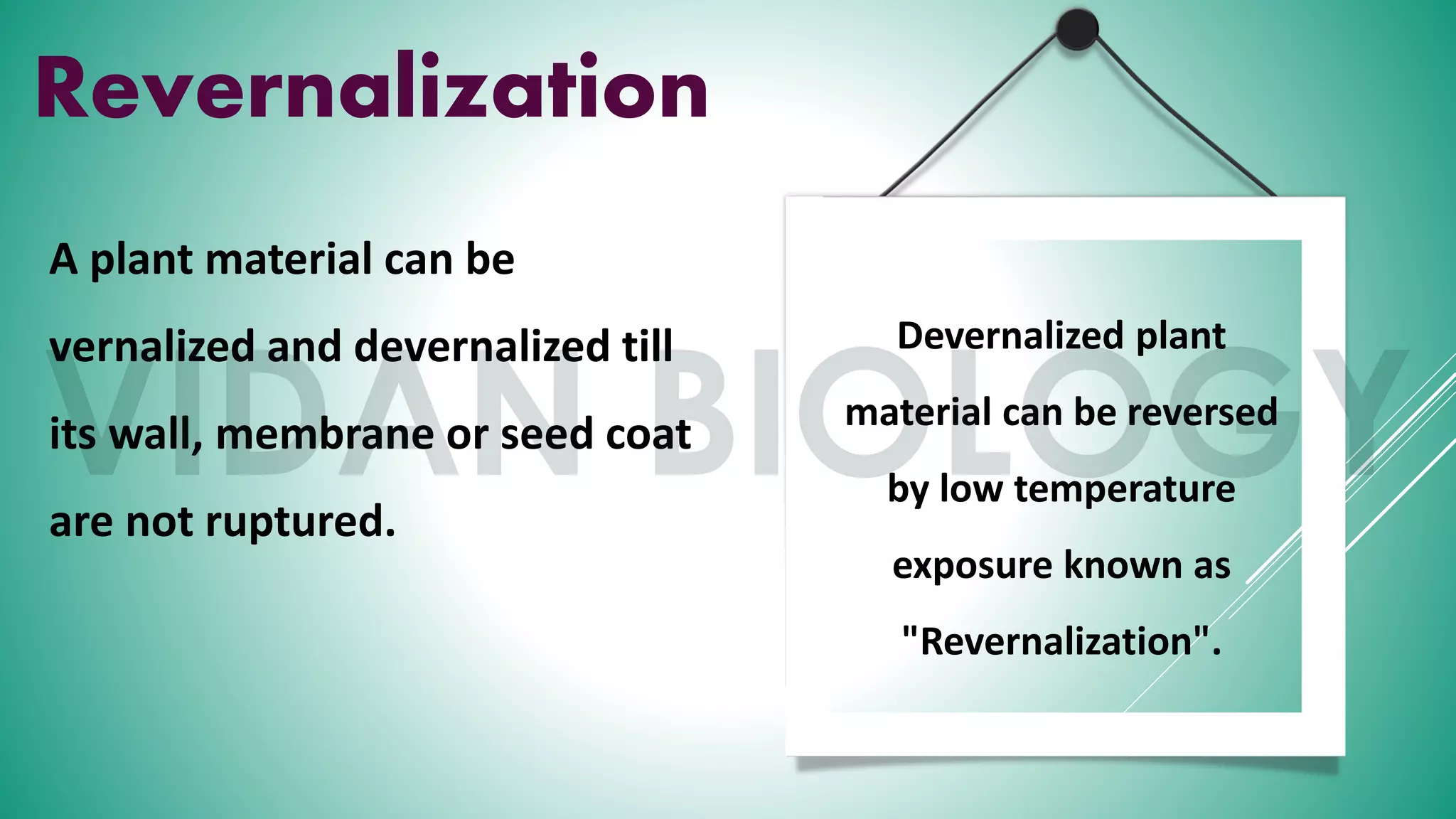 Vernalization (Revernalization, Devernalization) gene | PDF