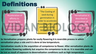 Vernalization (Revernalization, Devernalization) gene | PDF
