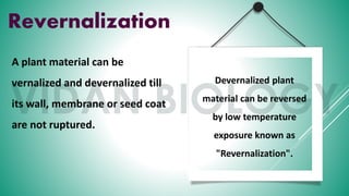 Vernalization (Revernalization, Devernalization) gene | PDF