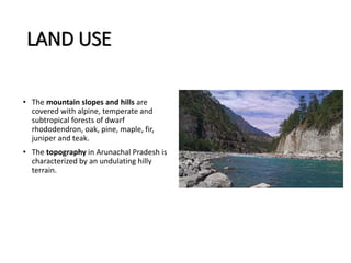 Vernacular architecture | PPTX