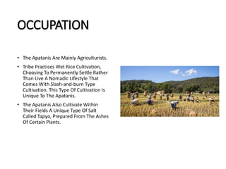 Vernacular architecture | PPTX