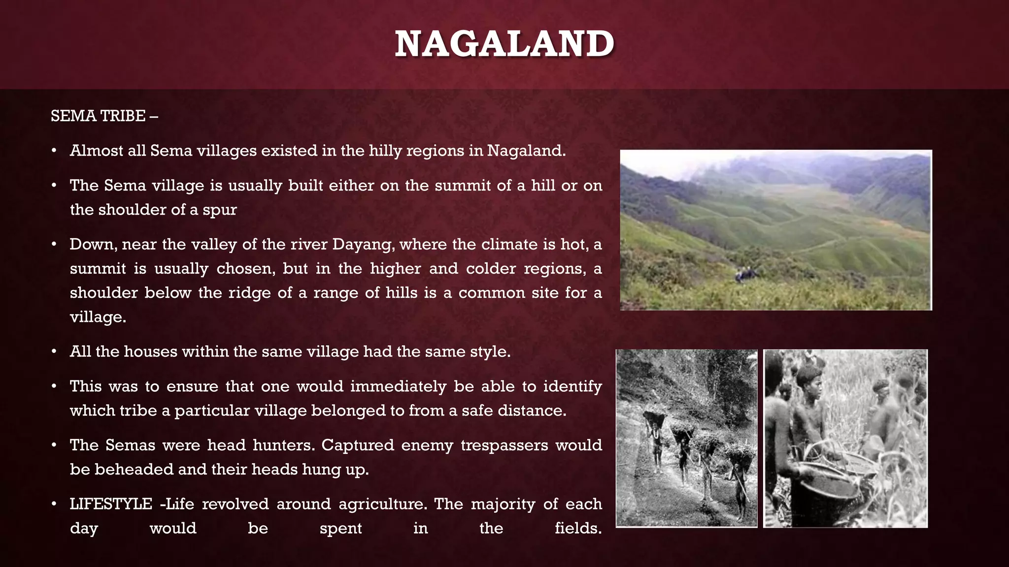 Vernacular architecture of north east india | PDF