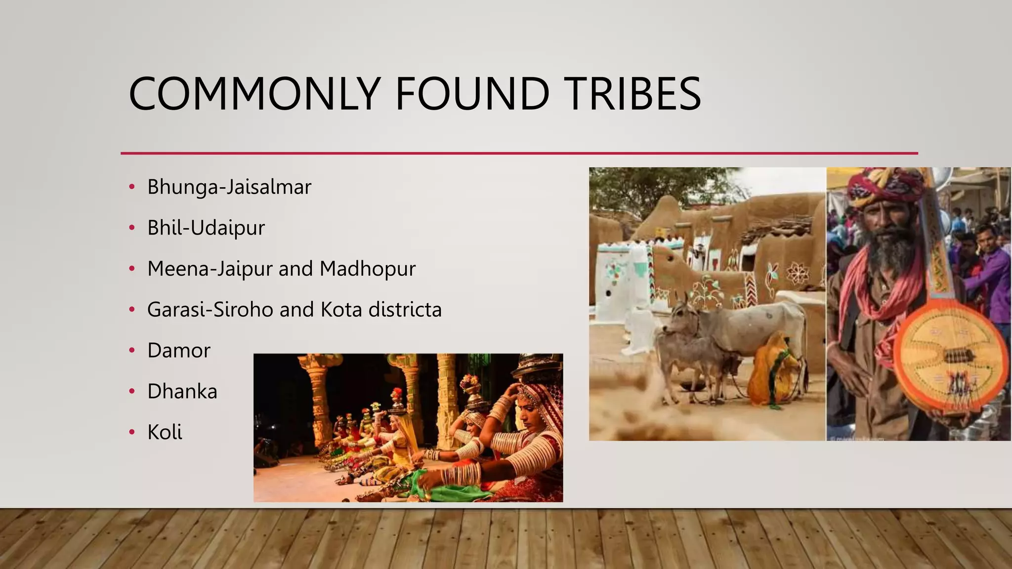 VERNACULAR RAJASTHAN -1.pptx