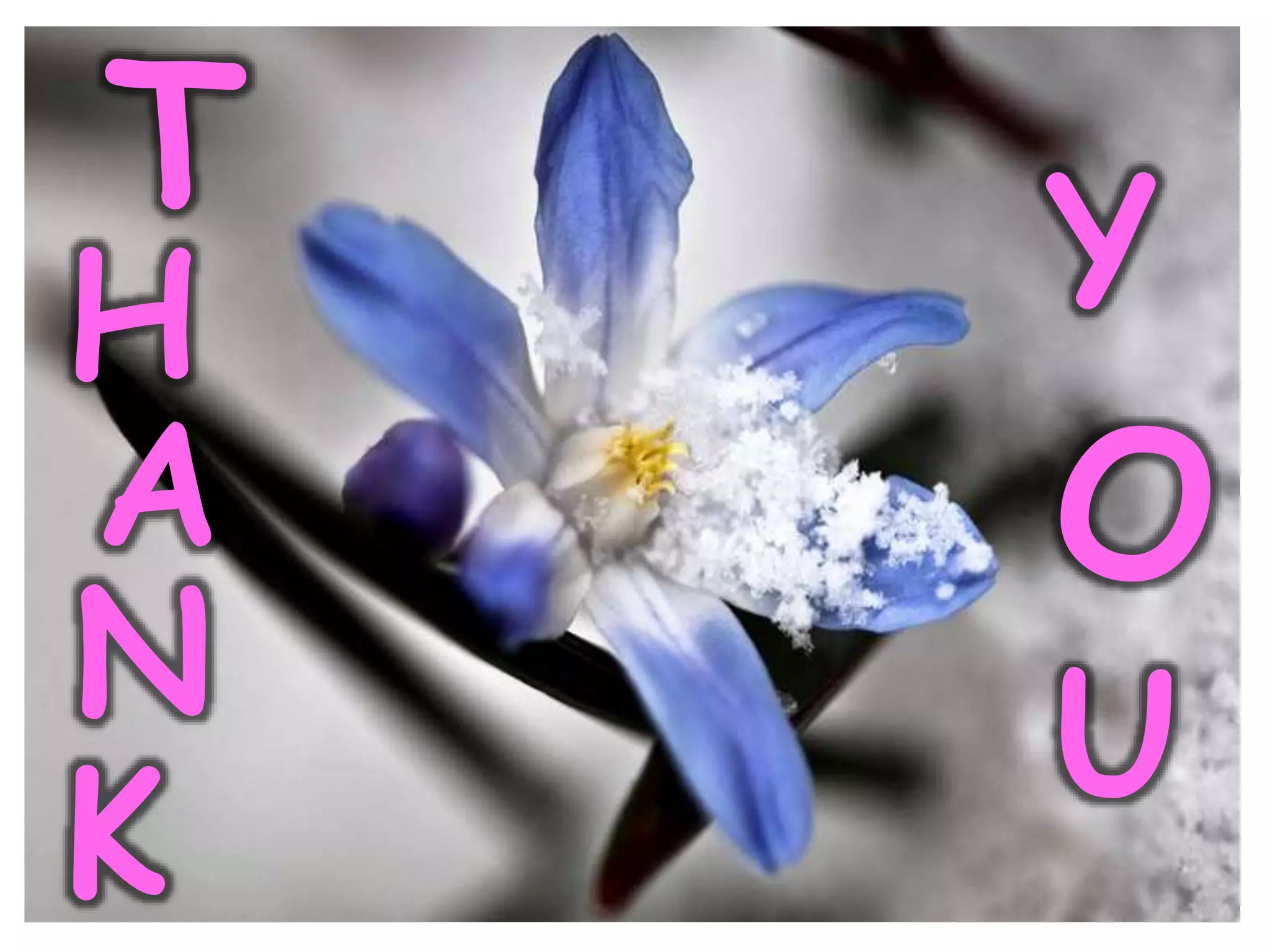 Vernalin and its role in flower development | PPTX