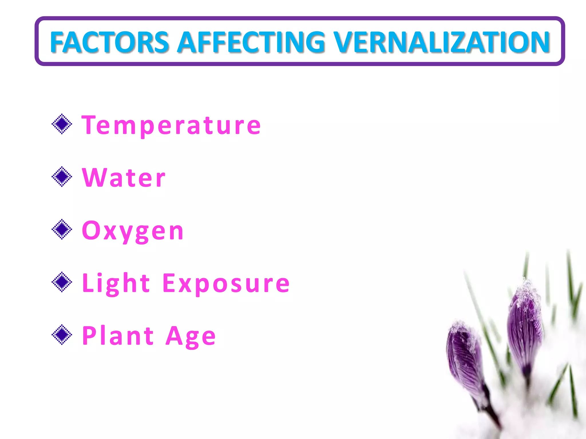 Vernalin and its role in flower development | PPTX