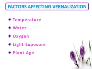 Vernalin and its role in flower development | PPTX