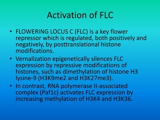 Vernalisation | PDF | Gardening | Home & Garden