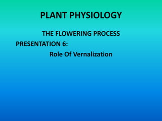 Vernalisation | PDF