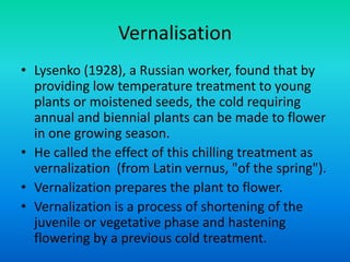 Vernalisation | PDF