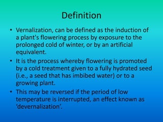 Vernalisation | PDF